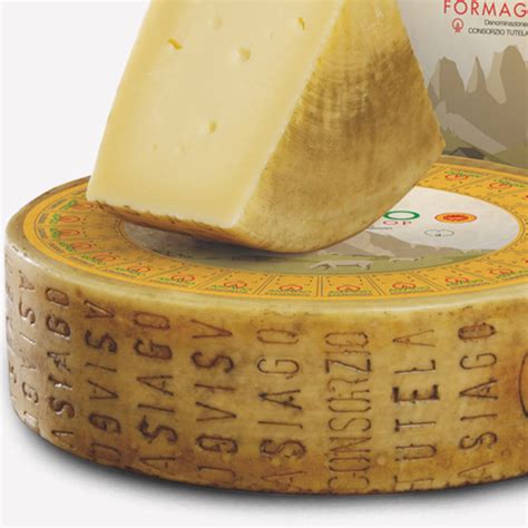 Asiago Melting At Brandon Jones Blog