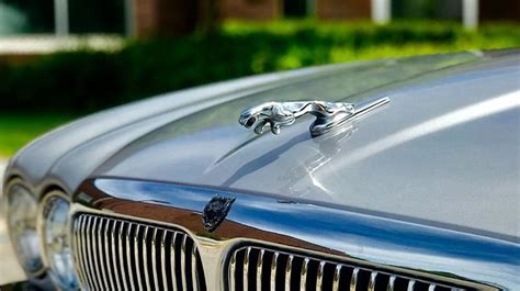 Jaguar Hood Ornament On Classic Luxury Car