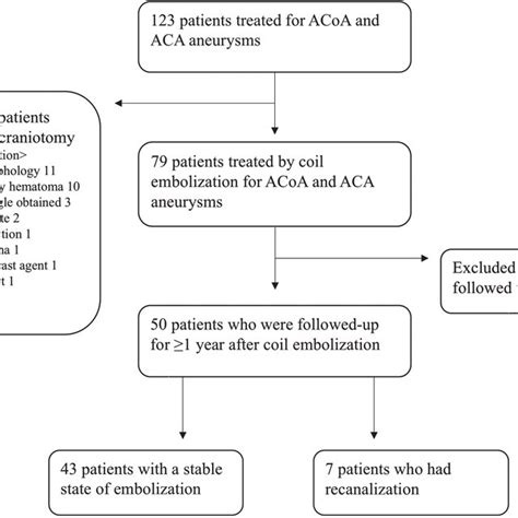 Flow Chart Of Patient Selection Aca Anterior Cerebral Artery Acoa
