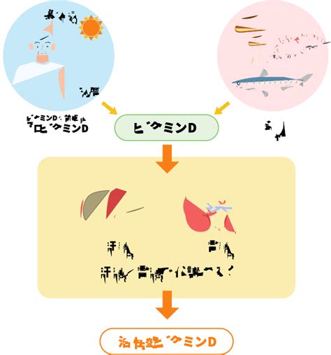 ビタミンd Eamonceejay