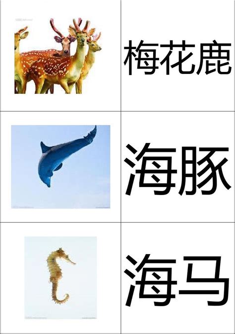 精编版——幼儿识字卡片配图：大全word文档在线阅读与下载无忧文档