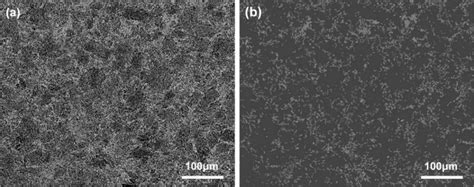 Electron Microscope Microstructures Of The Polished Surface Of 10 Wt