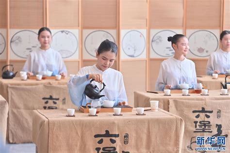 廣西梧州舉辦六堡茶文化節和寶石節 魅力廣西 FamousGuangxi