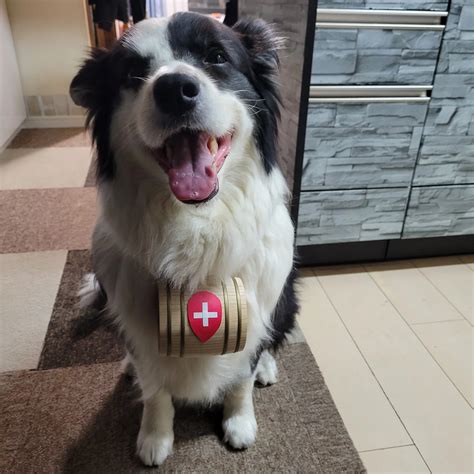 今年もお世話になりました、皆さん良いお年を！ ブログ 千葉のお墓なら株式会社たくみ