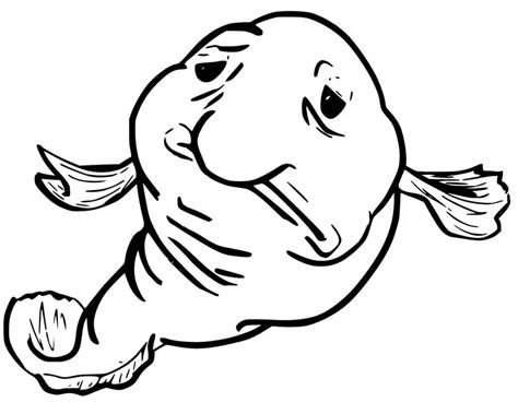 Ugly Blobfish