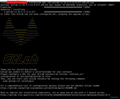 Gitlab下载，离线安装（gitlab Ce）gitlab安装包下载 Csdn博客