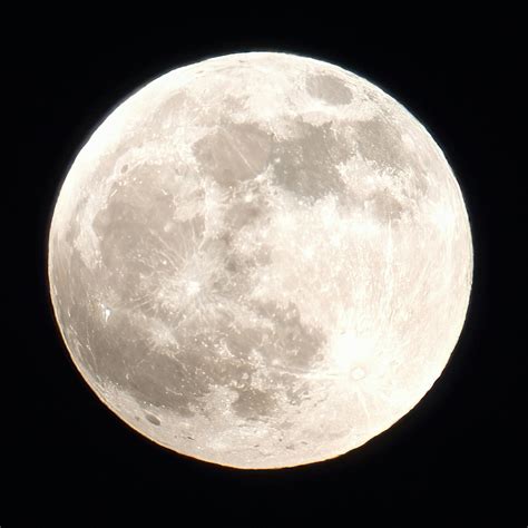 흰 종이에 갈색 액자 안경 · 무료 스톡 사진