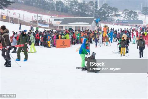 붐비는 관광객 지산 포레스트 스키 리조트에서 활동을 즐길 수 군중에 대한 스톡 사진 및 기타 이미지 군중 스키타기 12월