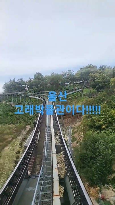 여기 재미있고 고래 뼈 등등을 볼수있습니다 Youtube