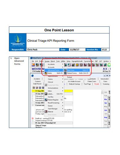 Free 10 One Point Lesson Samples And Templates