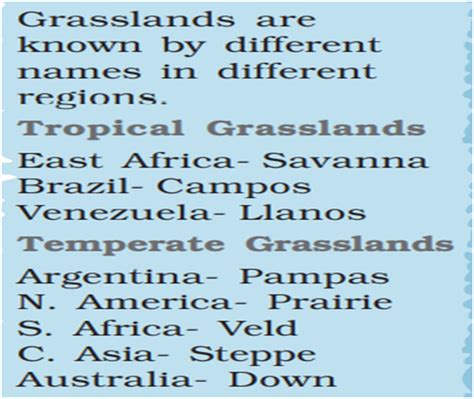 Which Of The Following Pair Pairs Is Are NOT Correctly Matched 1 North
