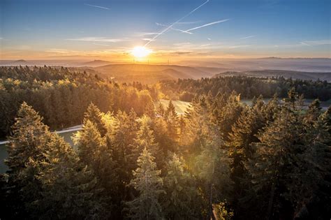 Eid GitHub Topics GitHub