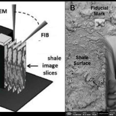 distribution of pore aspect ratio from quasi 3d image analysis of