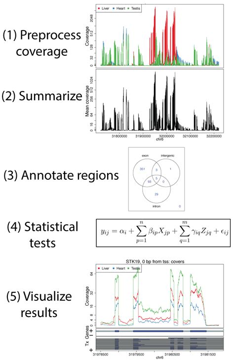 An Overview Of The Derfinder Suite The Derfinder Software Package