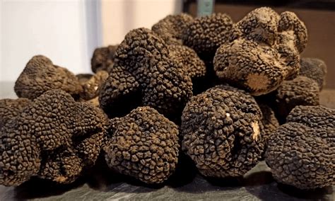 What Is A Truffle And What Does Truffle Taste Like