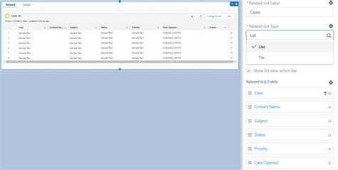 Salesforce零基础学习（一百一十四）dynamic Related List Zerozhang 博客园