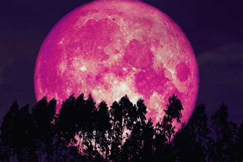 Luna Rosa 2022 Cuáles Son Los Tipos De Luna Para Cada Mes Del Año