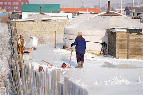 Сонгинохайрхан дүүргийн 10 хороонд халиа тошин үүсээд байна