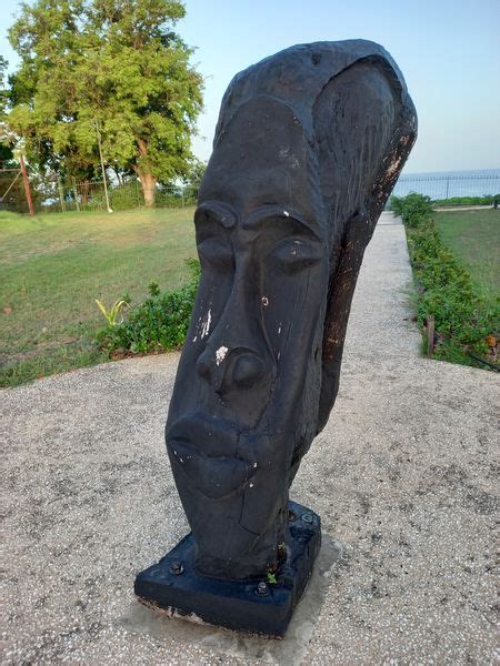 Quaws Quest A Beacon Of Resilience Barbados