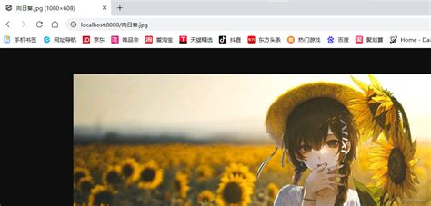 Springboot简单功能分析，静态资源访问和静态资源配置原理解析springboot寻找静态资源原理 Csdn博客