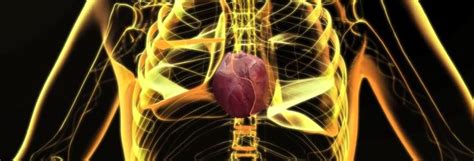 The Spanish Research Network For Cardiac Computational Modelling V Heart Sn Kicks Off Bsc Cns