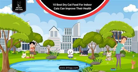 10 Best Dry Cat Food For Indoor Cats For Cat Health Drlogy