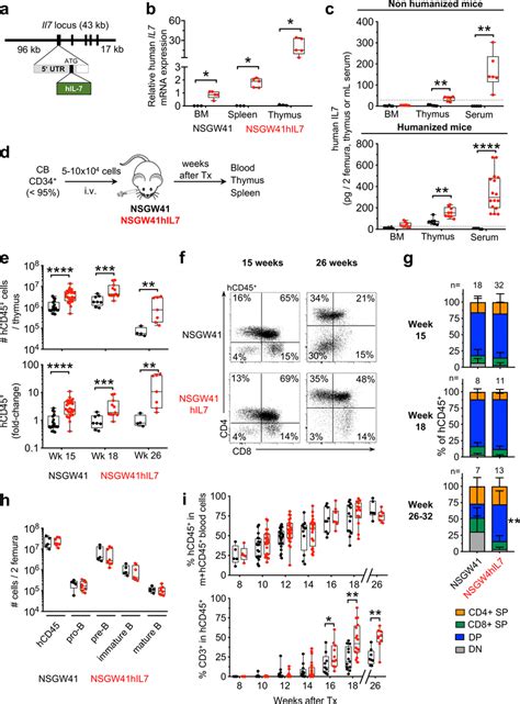 Improved Intrathymic Human T Cell Differentiation In Nsgw41hil7 Mice A