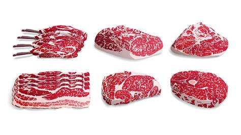 사실적인 스타일로 신선한 고기 세트 식품 3d 벡터 격리 된 개체 미식 제품 소에 대한 스톡 벡터 아트 및 기타 이미지 소