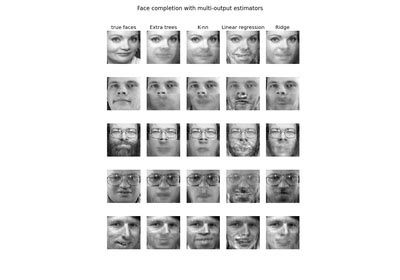 Sklearn Datasets Fetch Olivetti Faces Scikit Learn 0 16 1 Documentation
