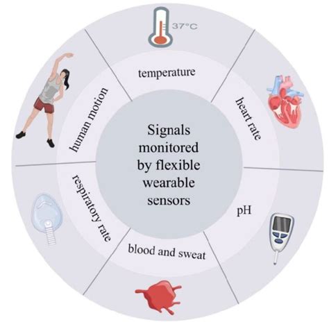 A Visual Summary Of Biological Signals Download Scientific Diagram