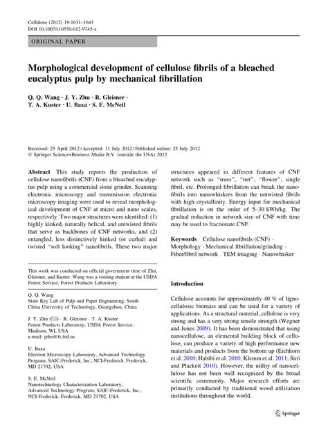 Pdf Morphological Development Of Cellulose Nanofibrils Cnf Of A