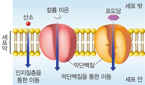 미래엔 엠티처