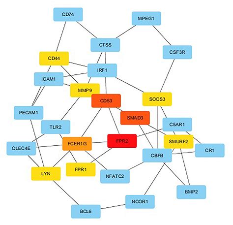 Frontiers Bioinformatic Analysis Of Crosstalk Between CircRNA MiRNA