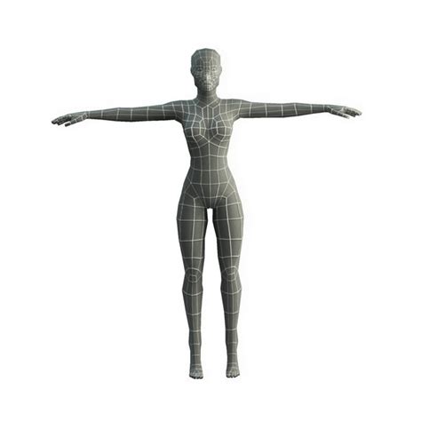 Base Mesh Female 3d Characters Bitgem