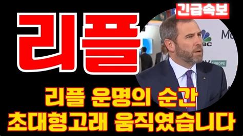리플 초대형고래들 움직였습니다과연 리플의 운명은xrp 리플 리플코인 리플전망 리플코드제로 Youtube