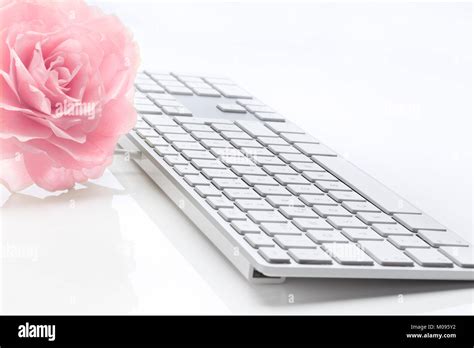 Pink Rose And Slim Keyboard Computer Against White Background Soft