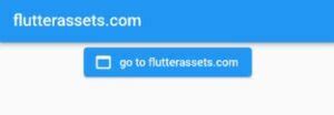 How To Use Flutter ElevatedButton With Examples