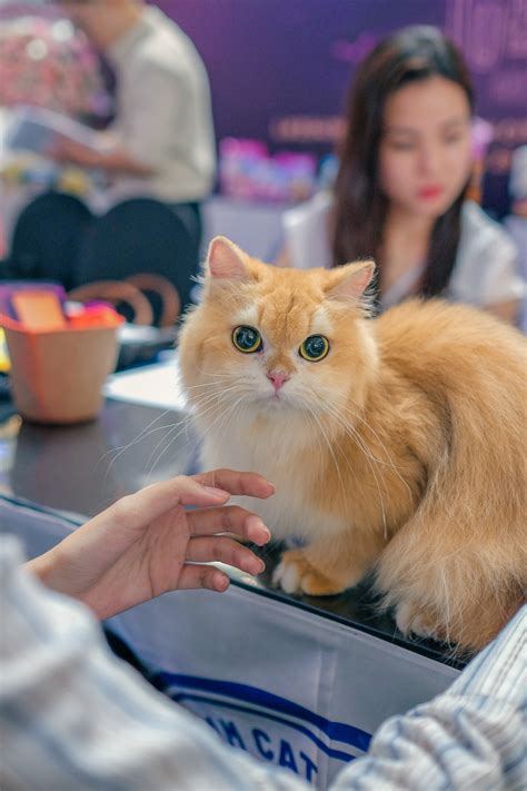 Cu C Thi M O P Gay C N So K S T Sao I Th Gi T Ng V N Ph I Thua Em M O N Y