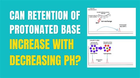 Increase In Rt For Protonated Base In Low PH YouTube