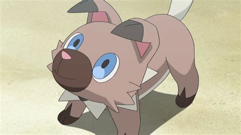 Ash Ketchumsun And Moon Pokémon Wiki Fandom Powered By Wikia