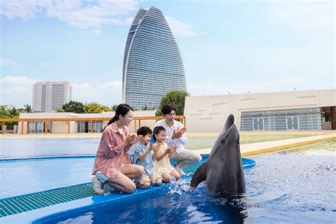 三亚·亚特兰蒂斯酒店官网 开启水无尽，趣无止的非凡之旅
