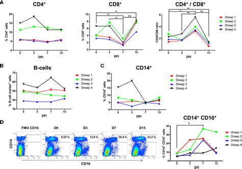Flow Cytometry Analysis Of Leukocyte Populations During Btv Infection