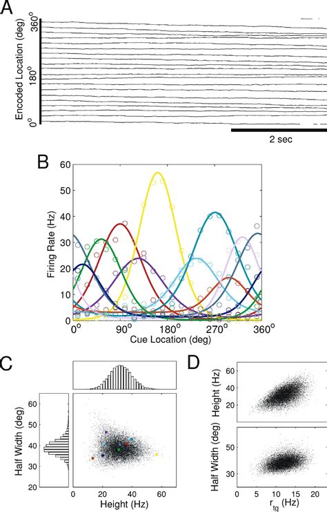 robust spatial working memory through homeostatic synaptic scaling in