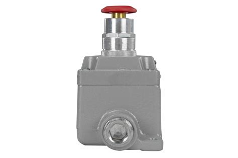 Larson Electronics Explosion Proof 10a Double Push Button Switch