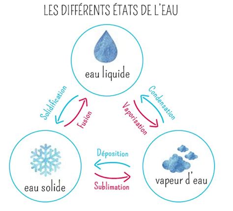 Le Cycle De Leau Schémas Définitions Étapes