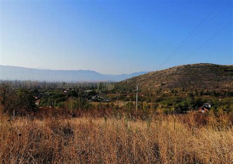 Бизнисменот Чедо Радомировиќ им подлегна на повредите Беше пројаден кај село Орман Mk