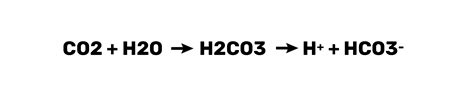 Co2 Effect On Oxygen Hemoglobin Dissociation Curve Getbodysmart