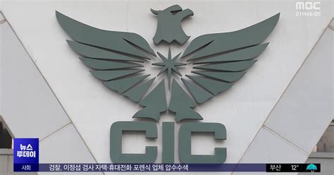 뒤바뀐 형사처벌 대상‥재검토 때 또 외압
