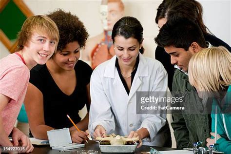 Science Class Dissection Photos And Premium High Res Pictures Getty