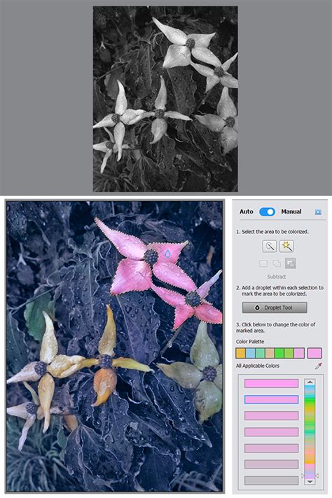 Automatically Colorize Black And White Images With Adobe Photoshop